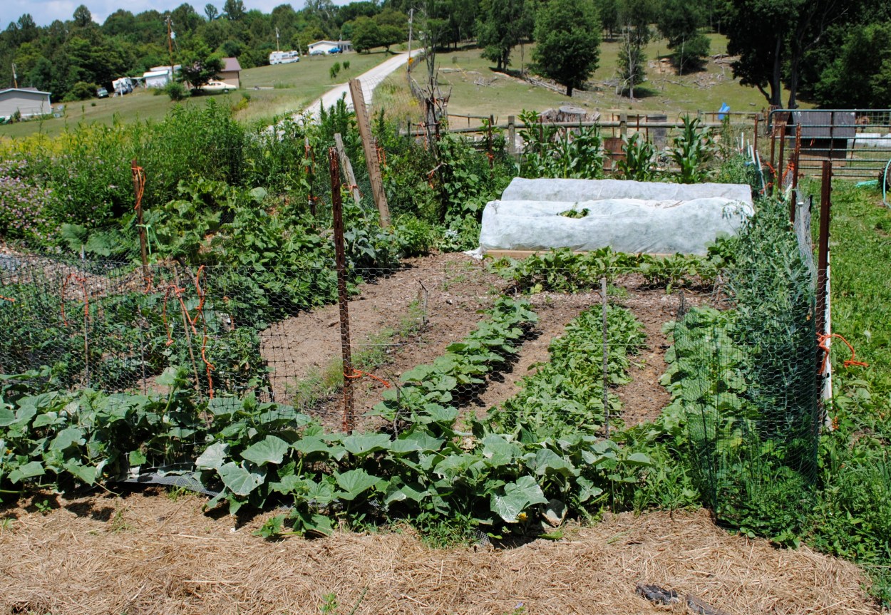 I WANNA PERFECT GARDEN!!! | crushthisworld